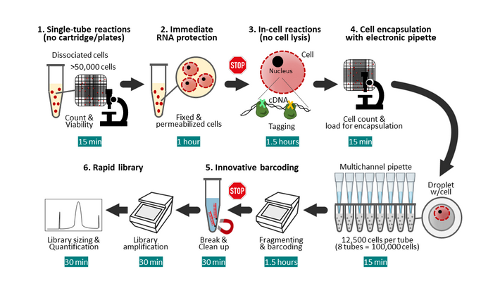 AmpliDrop Single Cell Library Technology – Universal Sequencing Technology