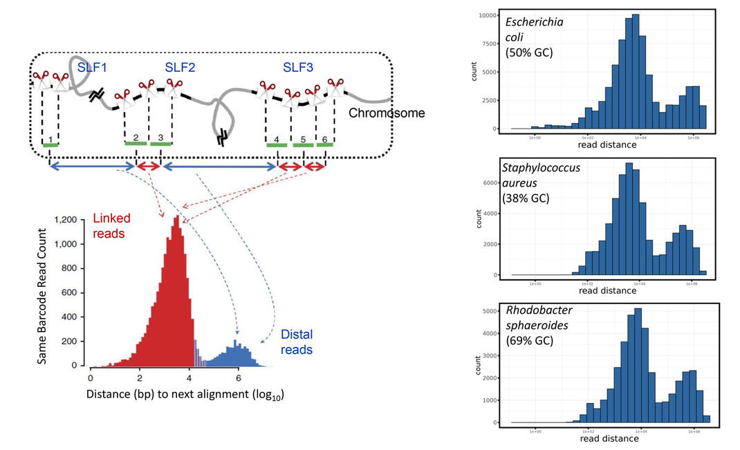 Tell-Seq Technology – Universal Sequencing Technology