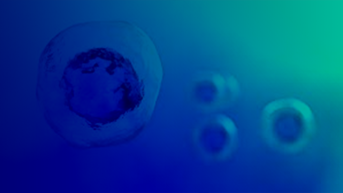 AmpliDrop Single Cell Library Technology – Universal Sequencing Technology