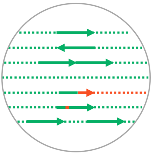 Universal Sequencing Technology