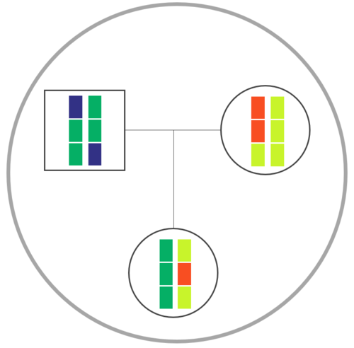Universal Sequencing Technology